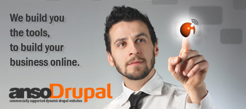 Commercial Drupal Website Development | ANSO